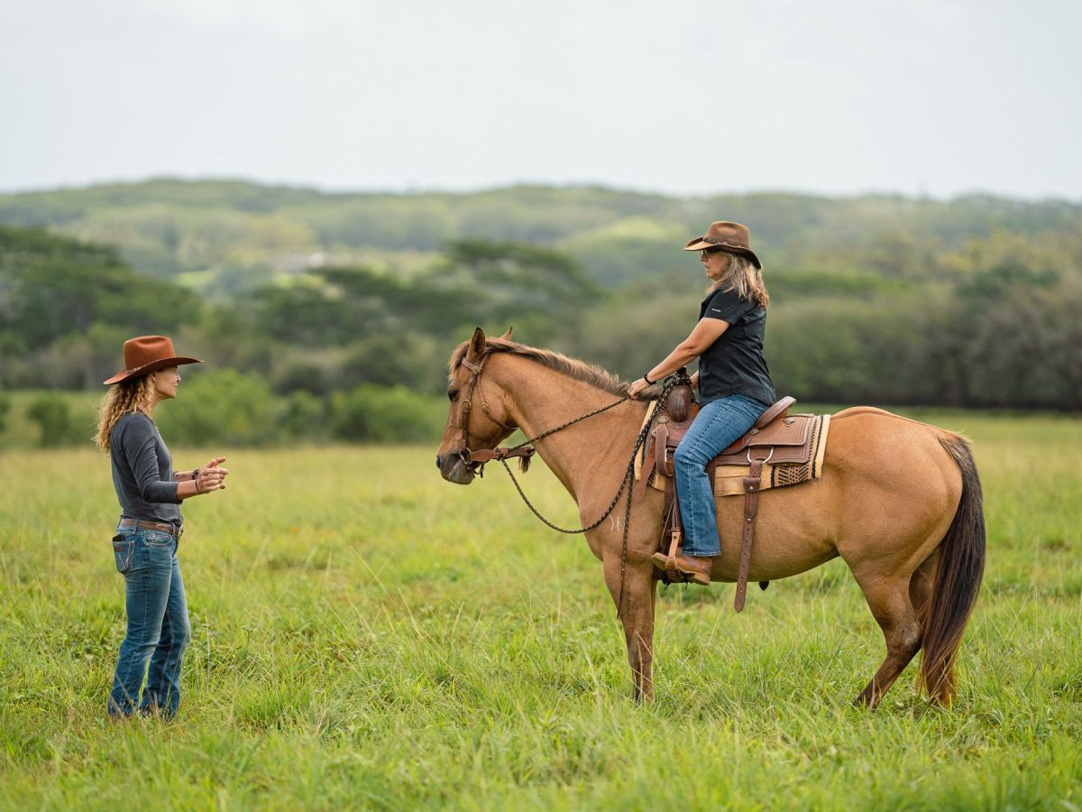 Princeville Ranch | Kauai Horseback Riding Lessons & Tours